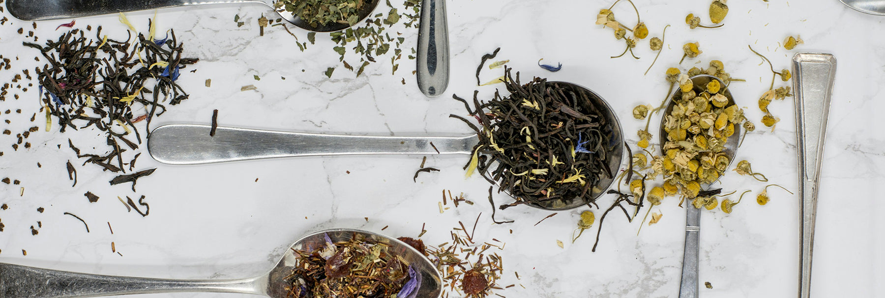 Recommending Tea Based on Your Preferences | Malgudi Days